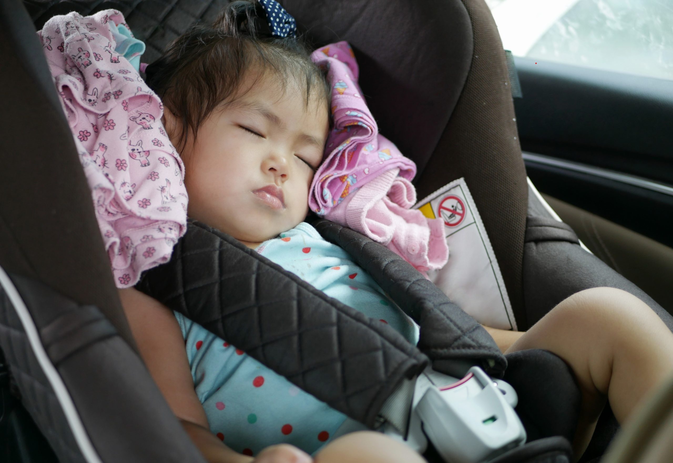 Car Seat Installation - River Edge Police